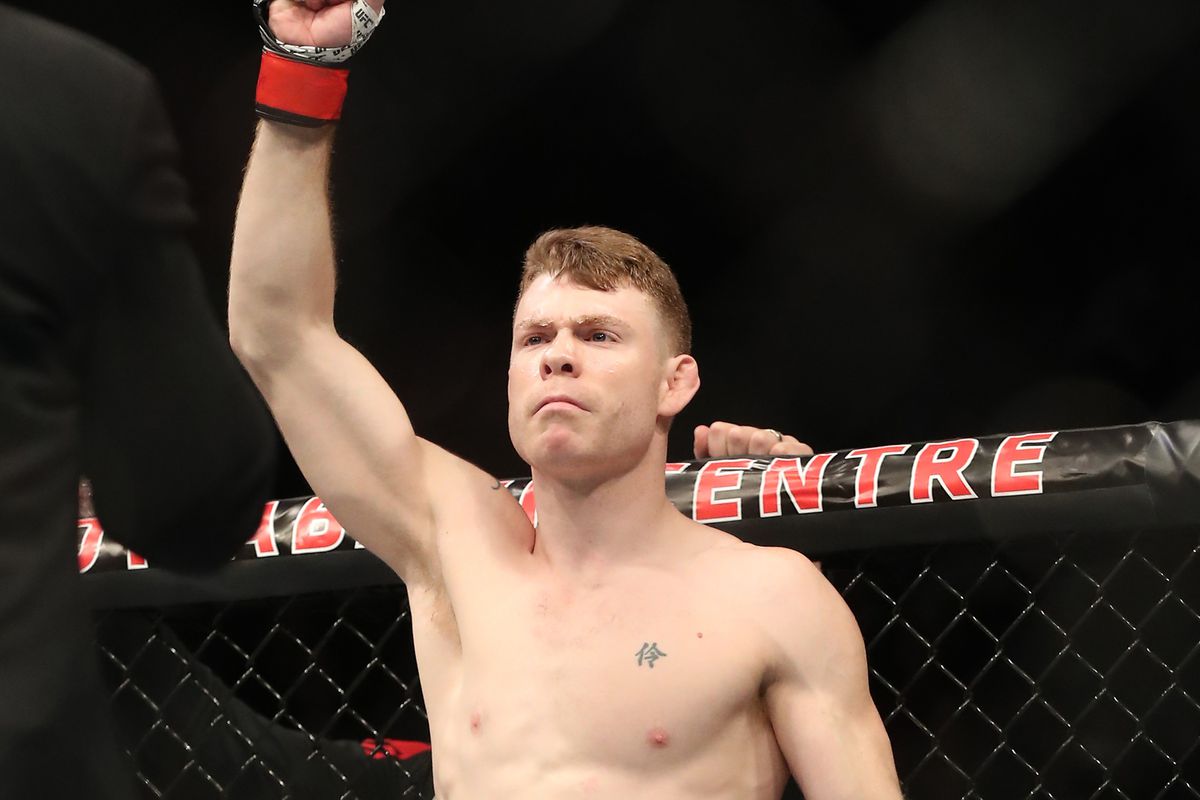 UFC 242 Fighter Profile: Paul Felder – FightPost: Boxing & MMA News